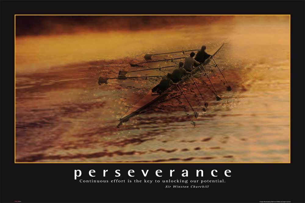 Motivational - Poster - Perseverance, 14,98