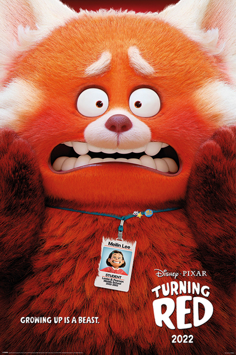 Disney - Poster - Turning Red - Growing Up, 16,04